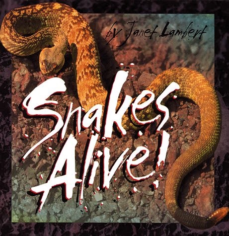 (Goodness) Snakes Alive – South Fellowship Church